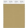 PANTONE Smart 16-1126X Color Swatch Card, Antelope - House Paint ...