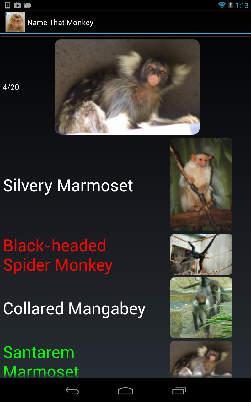 Monkey Species Trivia Quiz:Amazon.com:Appstore for Android