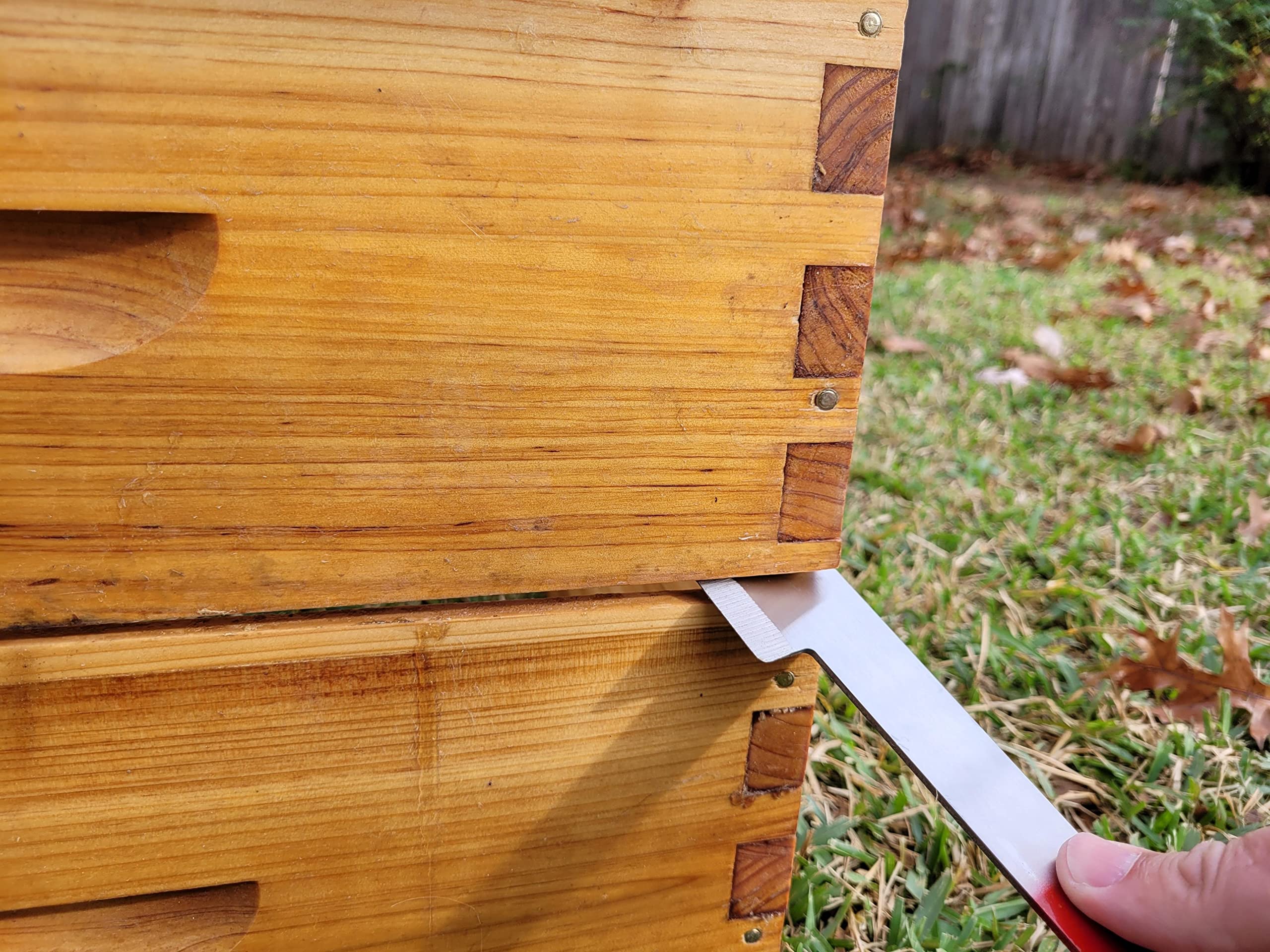 Mua BEEWELL 10-1/2 inch Steel J Hook Bee Hive Tool for Frame Lifting ...