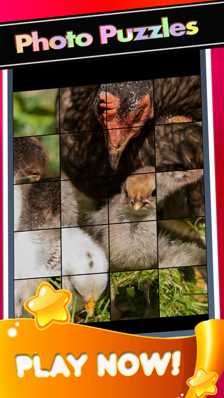 Amazon.com: Cute Chick Pictures-Baby Chickens Puzzle Game: Appstore for ...