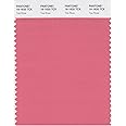 PANTONE Smart 16-1620X Color Swatch Card, Tea Rose - Wall Decor ...