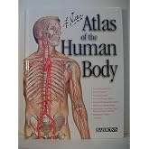 Illustrated Atlas of the Human Body: Beverly McMillan: 9781740896481 ...