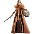 Amazon.com: Barbie Hippolyta Doll : Toys & Games