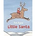 Little Santa: Agee, Jon: 9780803739062: Books - Amazon.ca