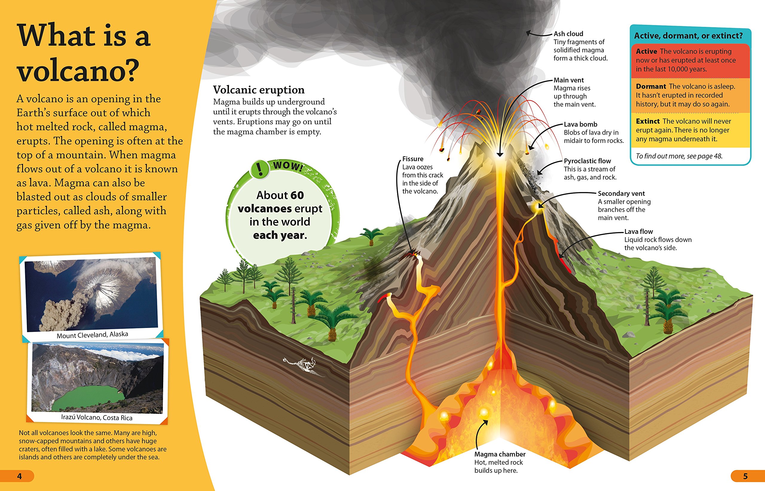 Major Forms Of Extrusive Activity Types Of Volcanoes