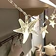 Sea Shell Fairy Lights - Battery Operated - 10 Warm White LEDs - Real ...