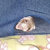 Amazon.com : Sheppard & Greene Ferret Cage Bed Camp Tent : Pet Care ...