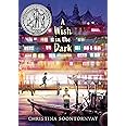 A Wish in the Dark: Soontornvat, Christina: 9781536204940: Amazon.com ...
