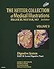 The Netter Collection of Medical Illustrations: Digestive System: Part ...