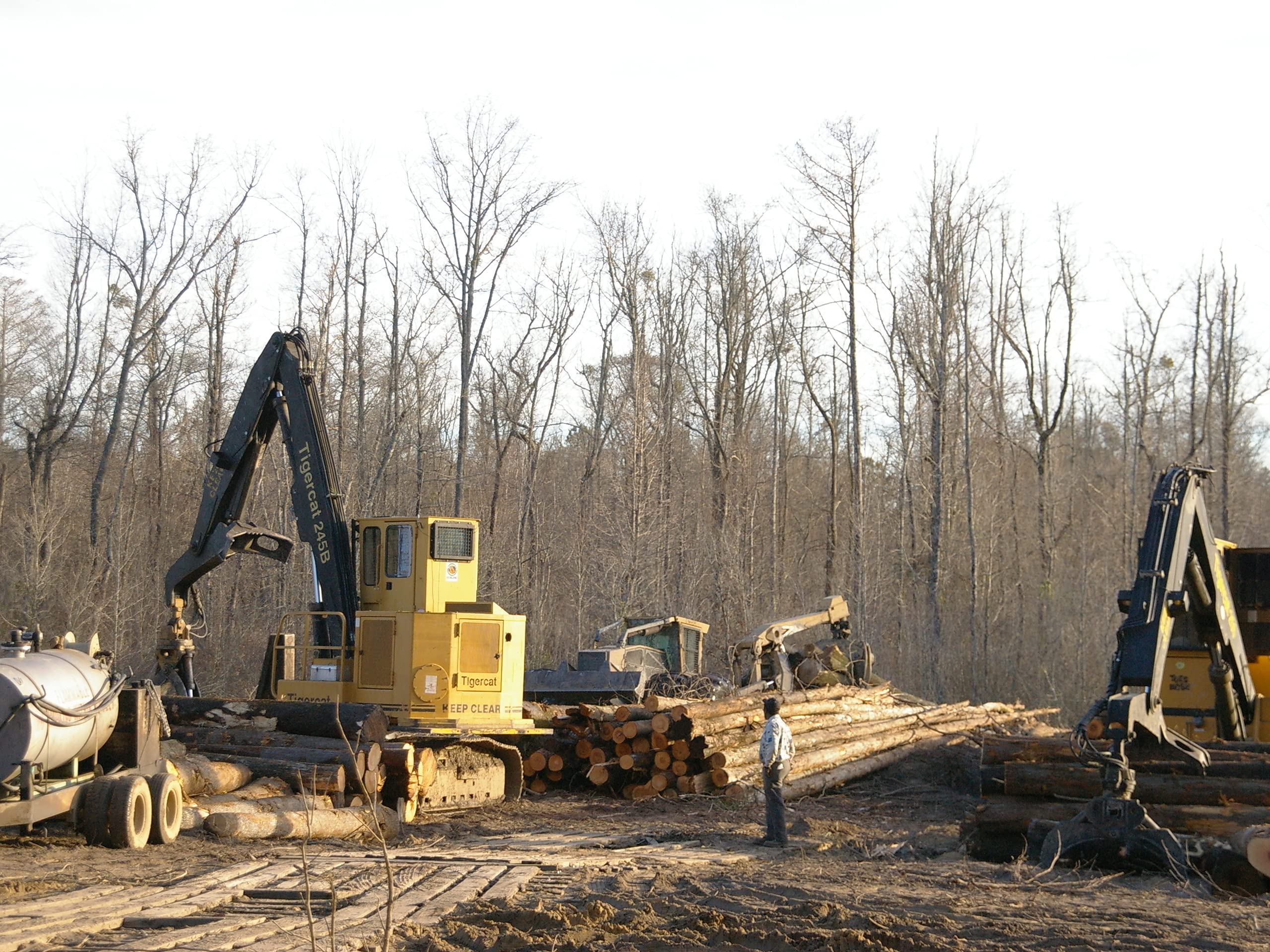 Watch Swamp Loggers - Season 1 | Prime Video