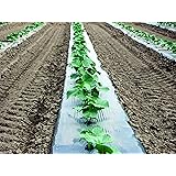 Amazon.com : Silver Metallic Plastic Mulch 4 Ft X 50 Ft 1.0 Mil ...
