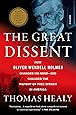 Great Dissent: Healy, Thomas: 9781250058690: Amazon.com: Books