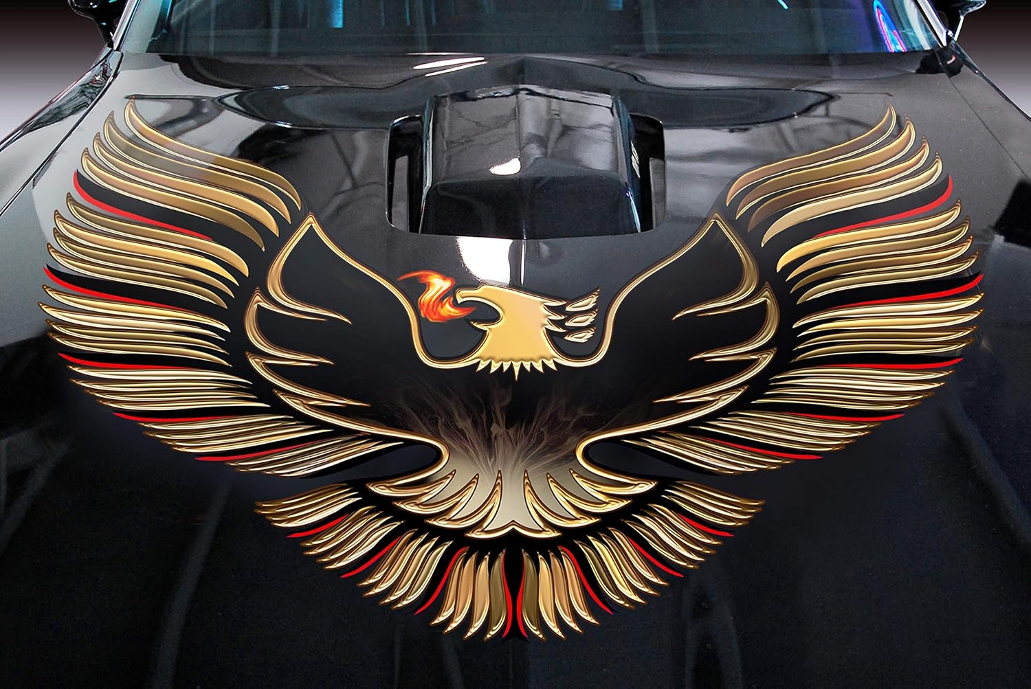 Amazon.com: 'Golden Fury Black Firebird' Laminated Car Hood Wrap Vinyl ...