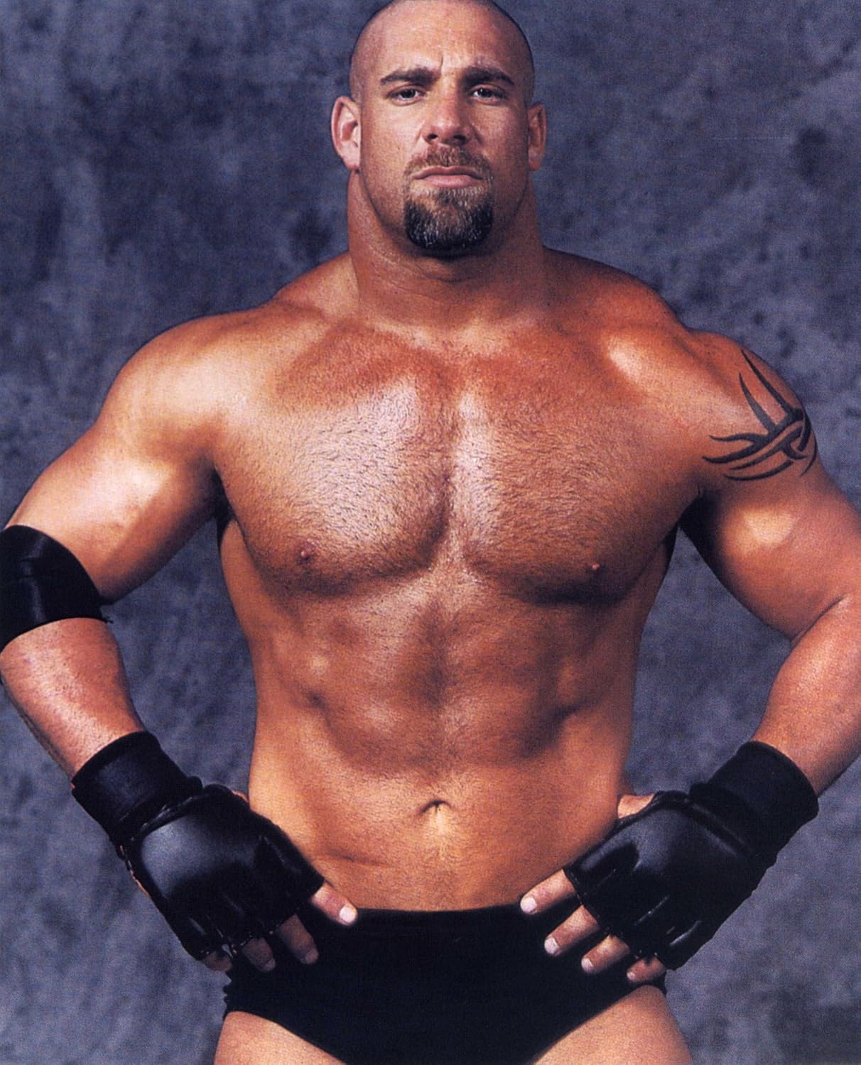 Amazon.com : GOLDBERG WWF WRESTLING 8X10 SPORTS ACTION PHOTO (S ...