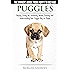 Puggle Puppy Training: The Ultimate Guide on Puggle Puppies, What to Do ...