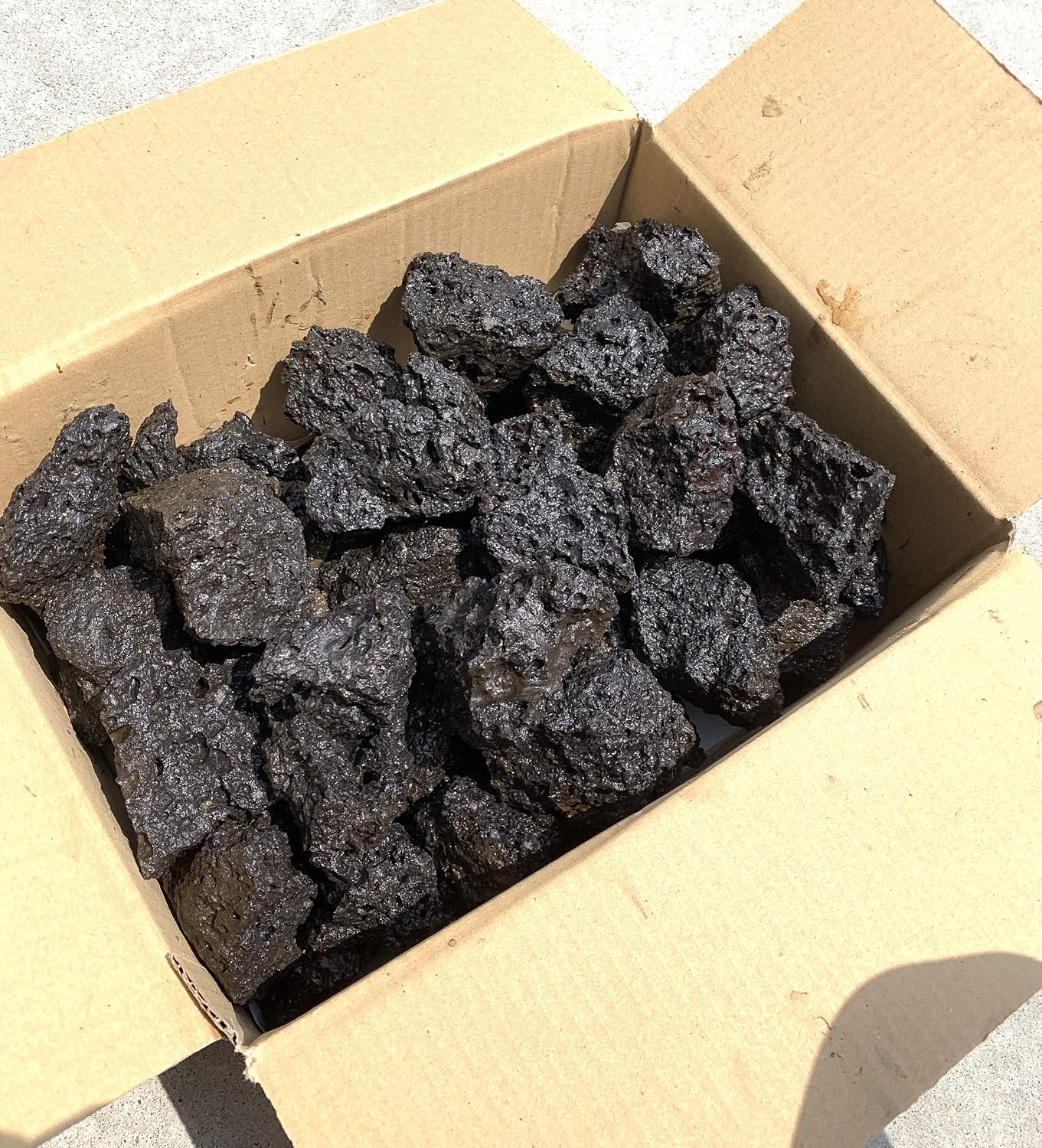 Amazon | 溶岩石 (高濾過) 50-150㎜ 10Kg ブラック 水槽 アクアリウム 石 レイアウト 黒 パルダリウム 庭石 花壇 ...
