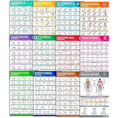 Buy [12-PACK] Laminated Workout Poster Set - Perfect Large Size Workout ...