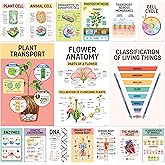 Amazon.com: 6 Science Posters for Classroom Middle School Classroom ...