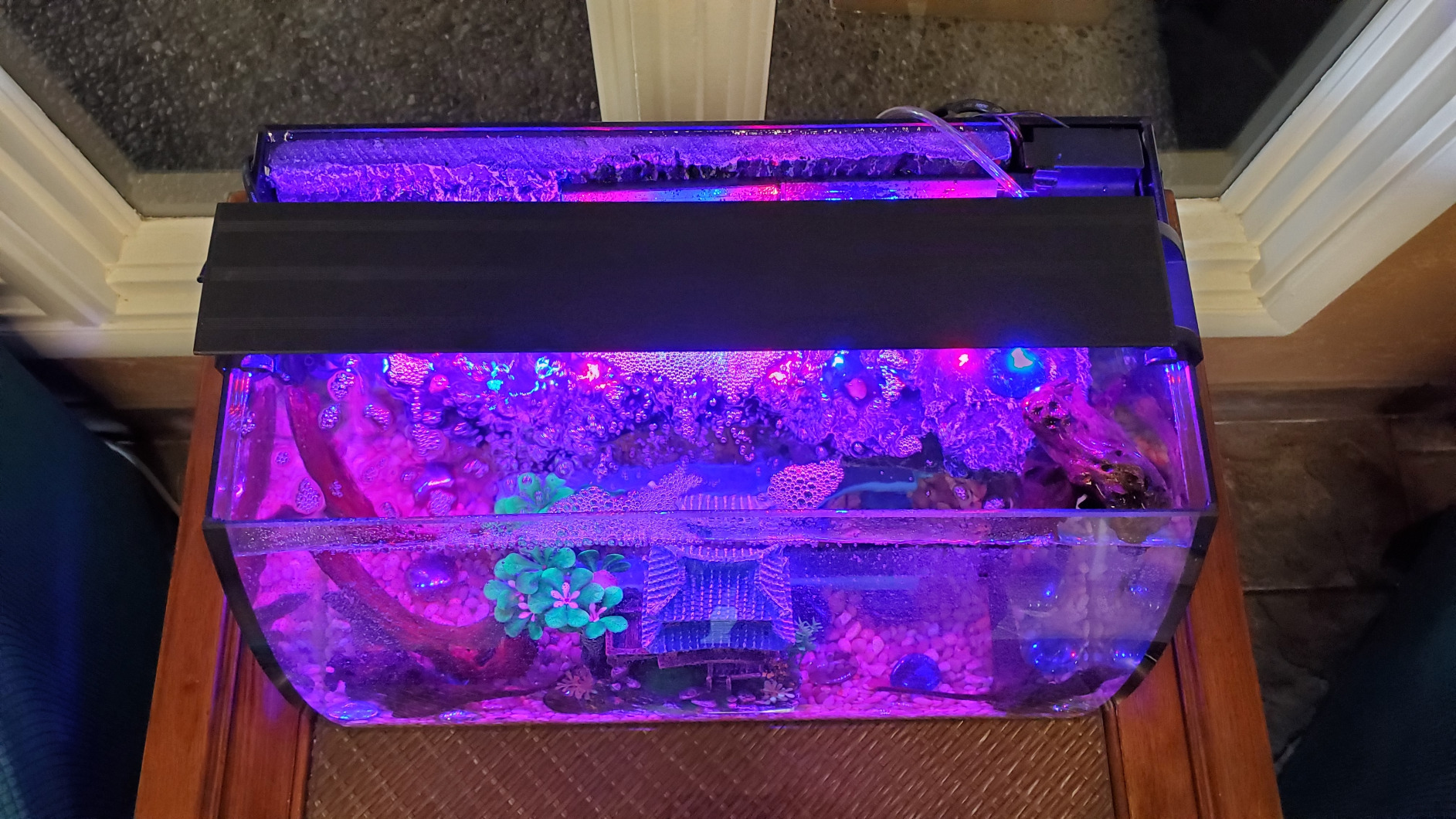 $23/mo - Finance hygger Horizon 8 Gallon LED Glass Aquarium Kit for ...