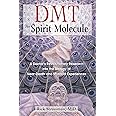 Amazon.com: DMT: The Spirit Molecule: A Doctor's Revolutionary Research ...