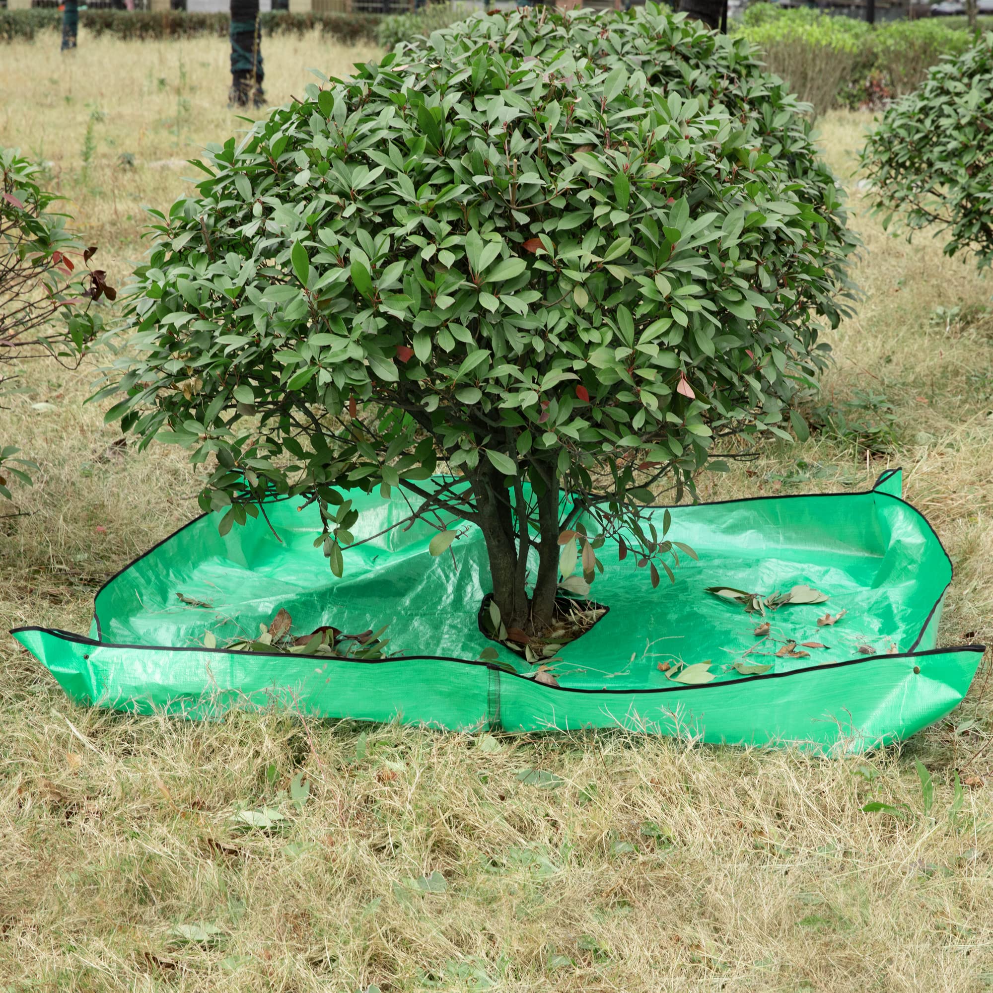 moonoom Landscape Tarp for Trimming, 78.7"x78.7" Pruning Tarp with 12 ...