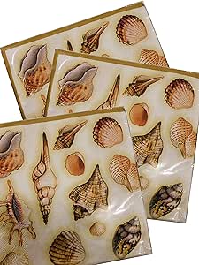 Amazon.com: Fall Seashell Napkins | Decoupage Napkins | 40-ct 13x13 ...