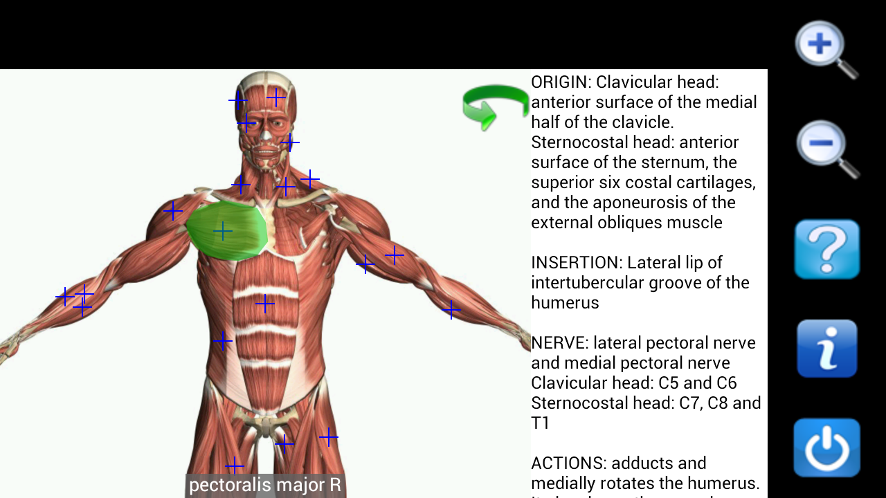 Amazon.com: Visual Anatomy Free: Appstore for Android