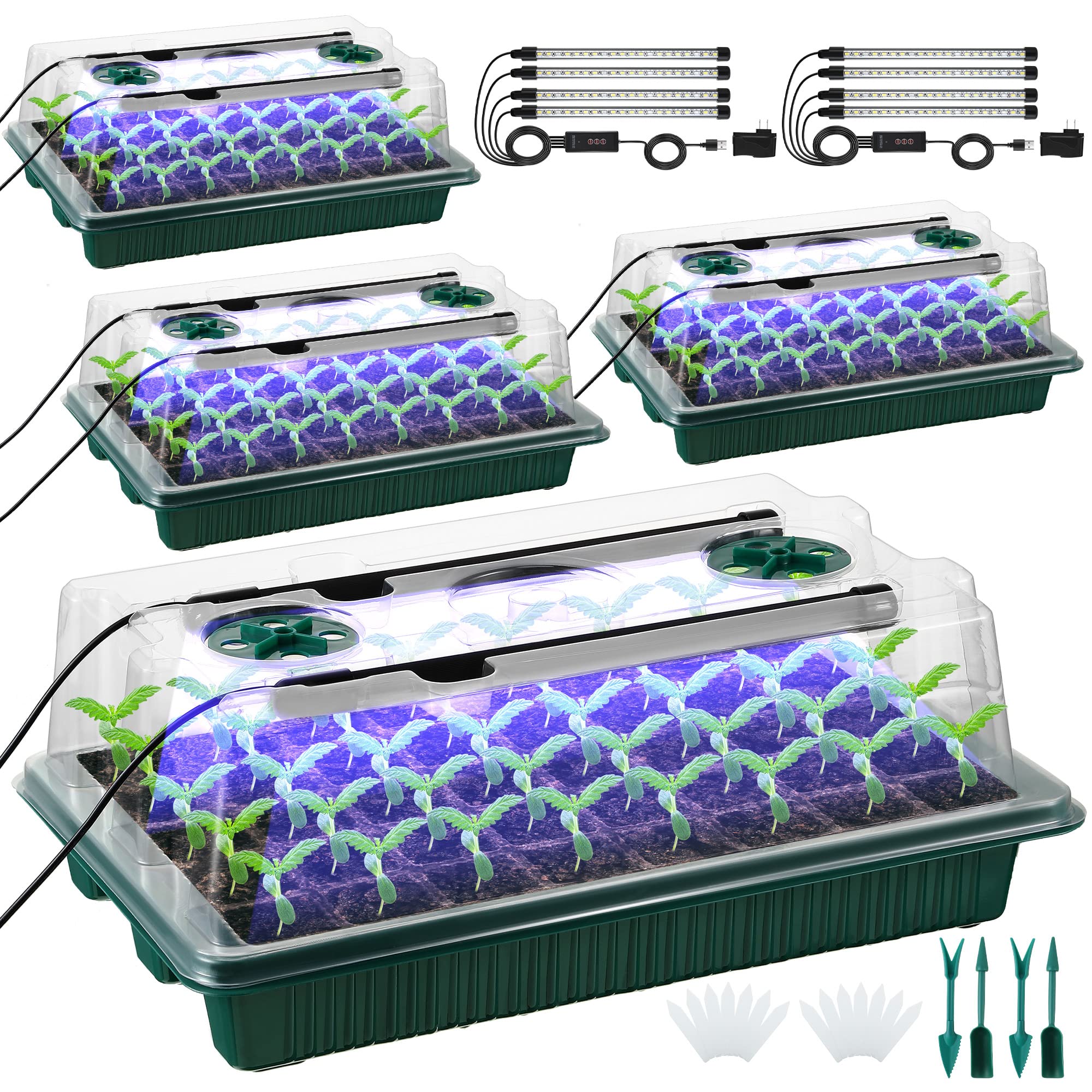 Mua 4 Packs 80 Cells Seed Starter Tray Kit with 4 Grow Lights, Humidity ...