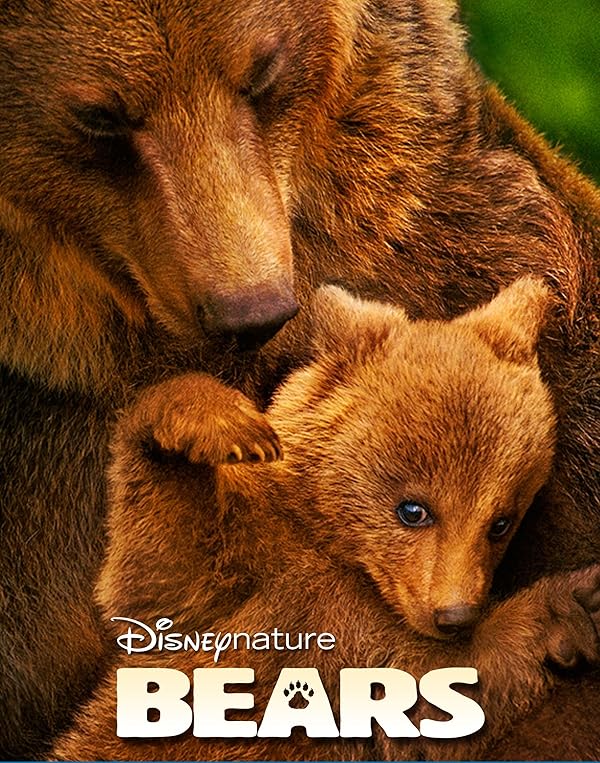 Watch Disneynature Bears (2014) | Prime Video