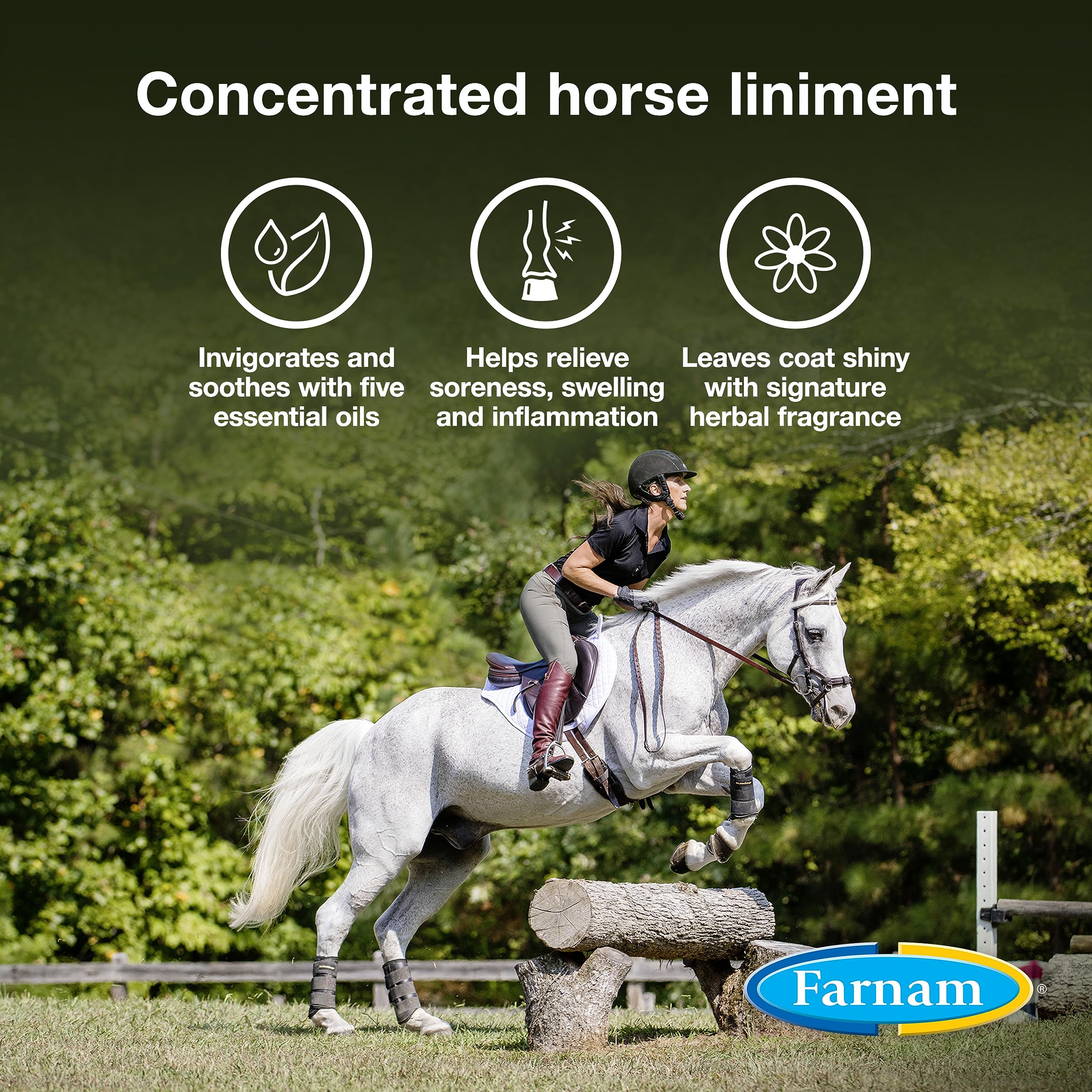 Mua Farnam Vetrolin Horse Liniment for Muscle Soreness, Stiffness and ...