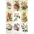 Amazon.com: Vintage French Roses #2 Collage Sheet 8.5 x 11"