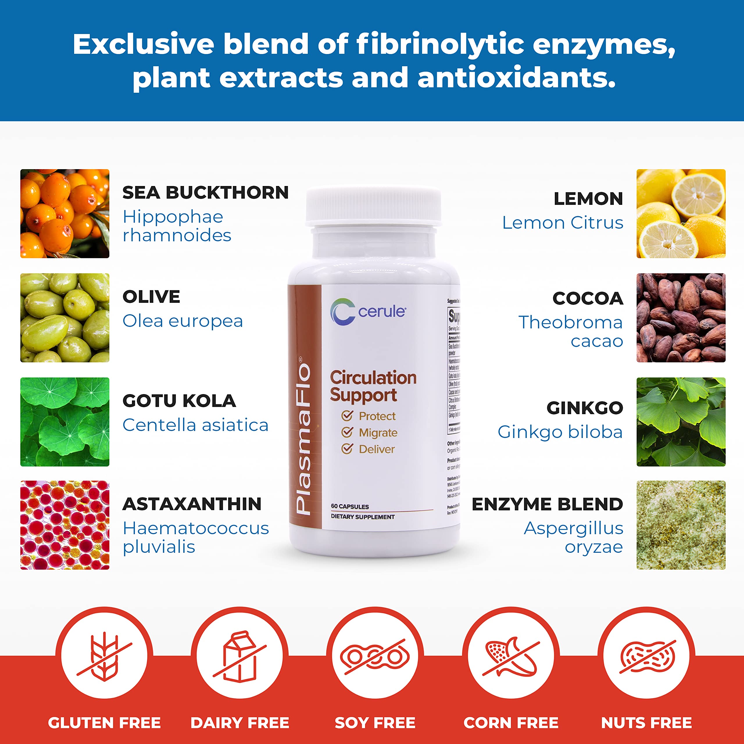 Mua Cerule Plasmaflo Blood Flow Supplement to Support Bloods ...