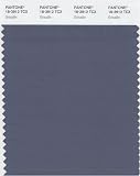 Amazon.com: Pantone 19-1724 TCX Smart Color Swatch Card, Cabernet: Home ...