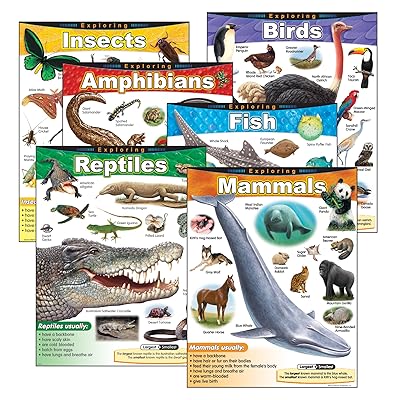 TREND enterprises, Inc. T-38935 Exploring. Series India | Ubuy