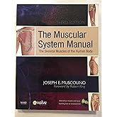 The Muscular System Manual: The Skeletal Muscles of the Human Body ...