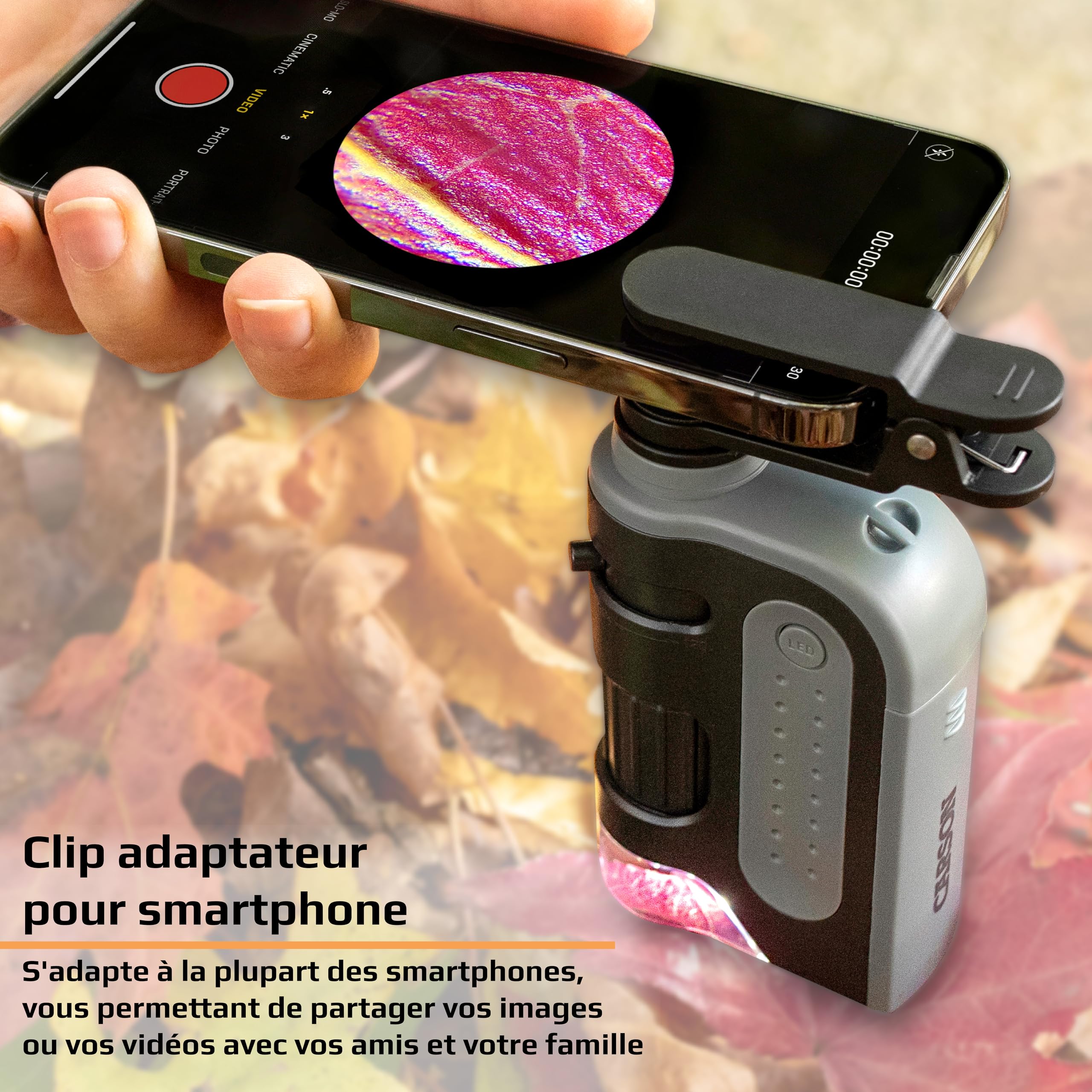 Mua Carson MicroBrite Pro 60x-120x LED Taschenmikroskop mit ...