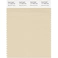 PANTONE Smart 13-1008X Color Swatch Card, Bleached Sand - Wall Decor ...