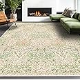 Amazon.com: Hazo Haus Washable 8x10 Rugs for Living Room Bedroom, Light ...