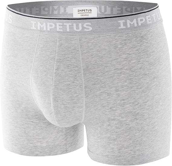 IMPETUS Certified Organic Cotton Boxer Brief Underwear at Amazon Men’s ...
