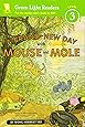 Mouse and Mole: Fine Feathered Friends (A Mouse and Mole Story): Yee ...