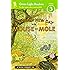 Amazon.com: Mouse and Mole, A Perfect Halloween (Green Light Readers ...