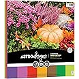 Amazon.com : Astrodesigns Crafting Cardstock, 12" x 12", 65 lb./176 gsm ...