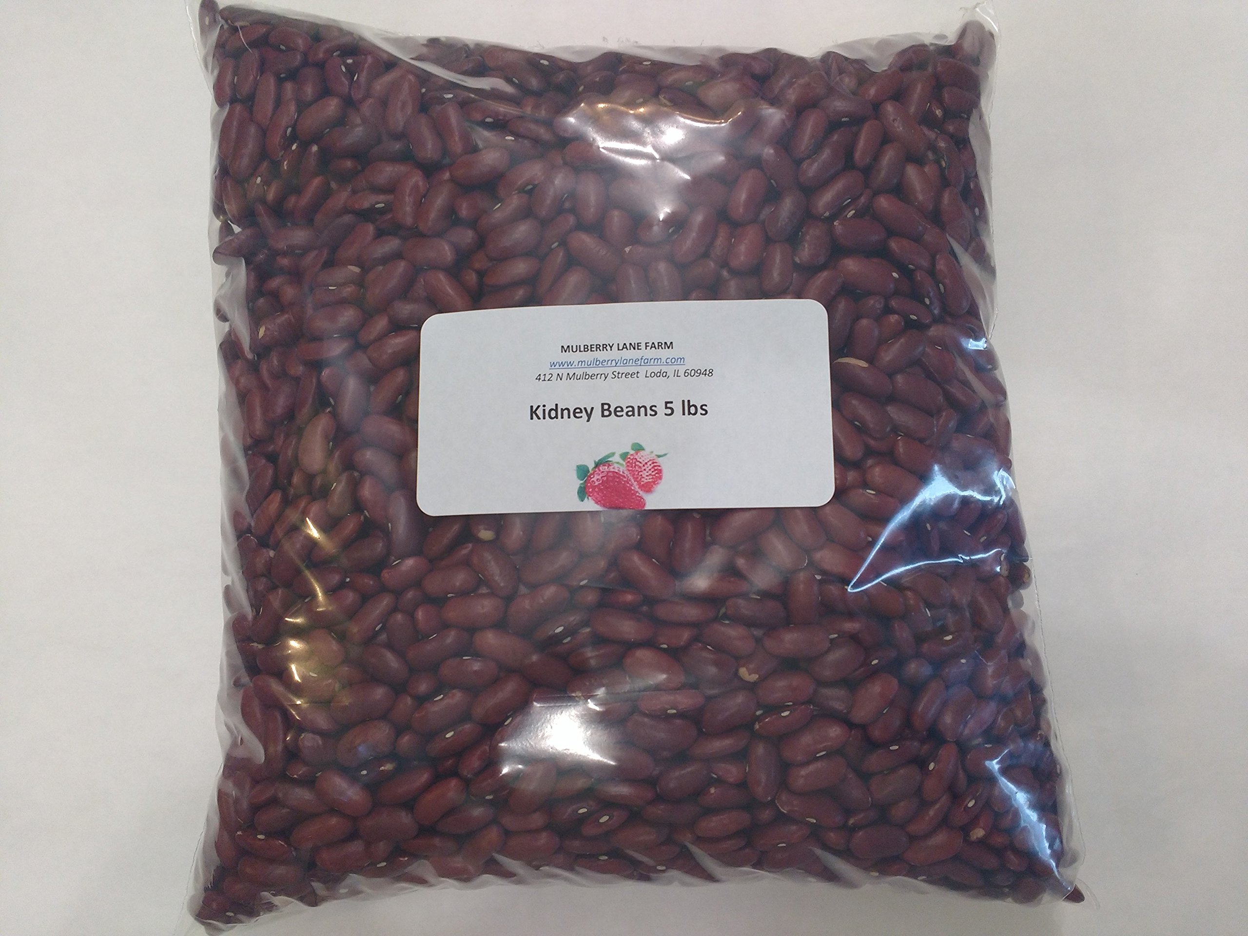 Amazon.com : Pinto Beans, 5 lbs (five pounds), Dried, USDA Certified ...