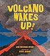 Volcano Wakes Up!: Peters, Lisa Westberg, Jenkins, Steve: 9781250073204 ...