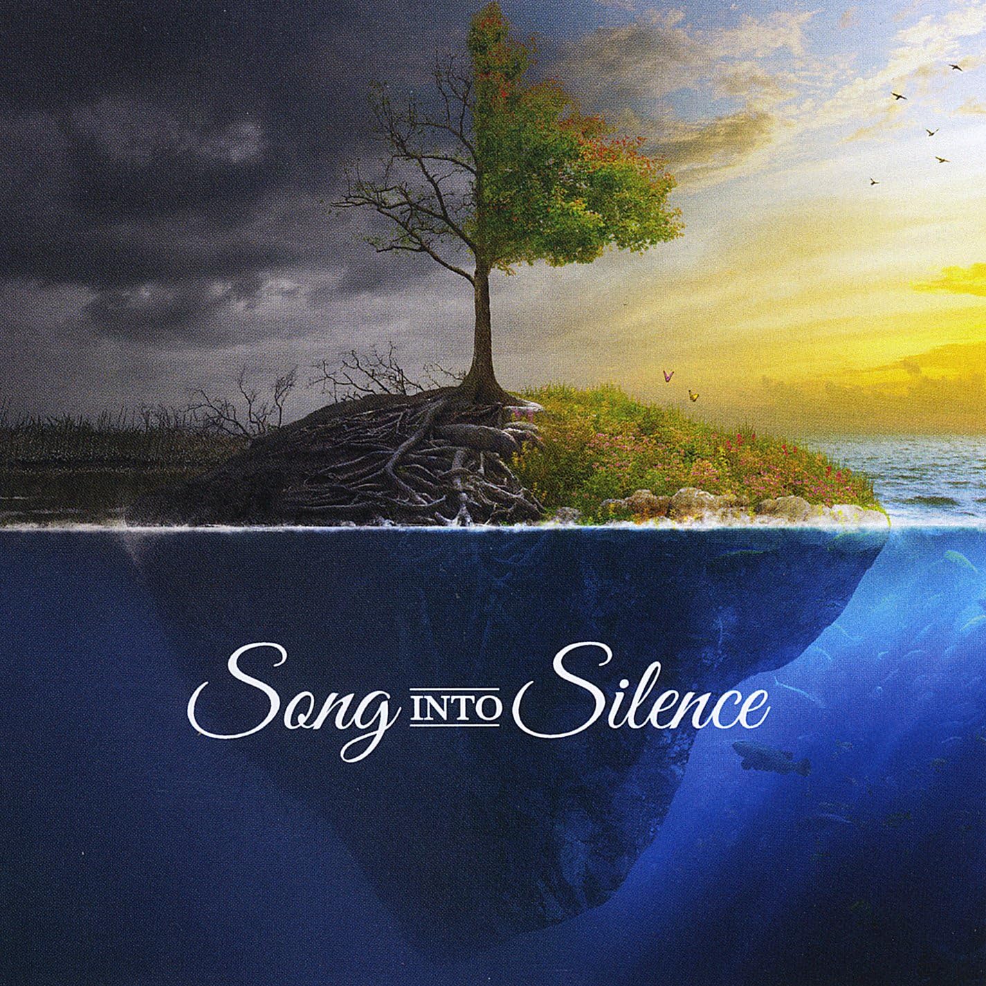 Song Into Silence: Amazon.co.uk: Music