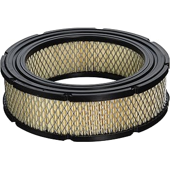 Amazon.com : Briggs & Stratton 692519 Round Air Filter Cartridge : Lawn ...