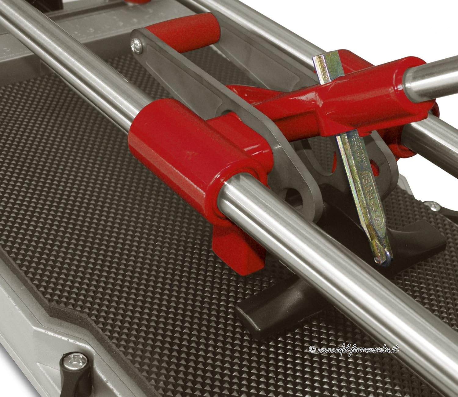 Rubi Ray - 62 фото