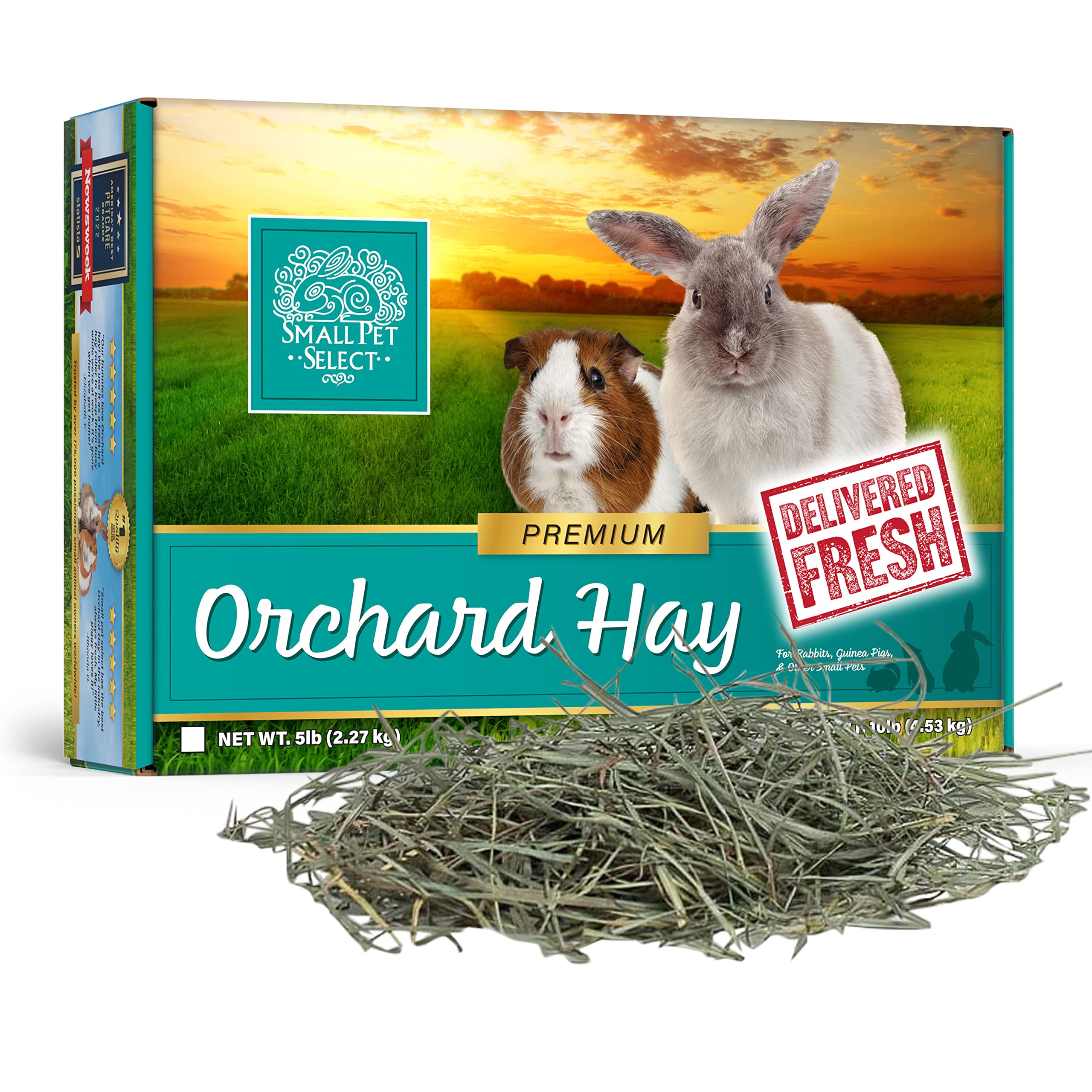 Mua Small Pet Select Orchard Grass Hay Pet Food for Rabbits, Guinea ...
