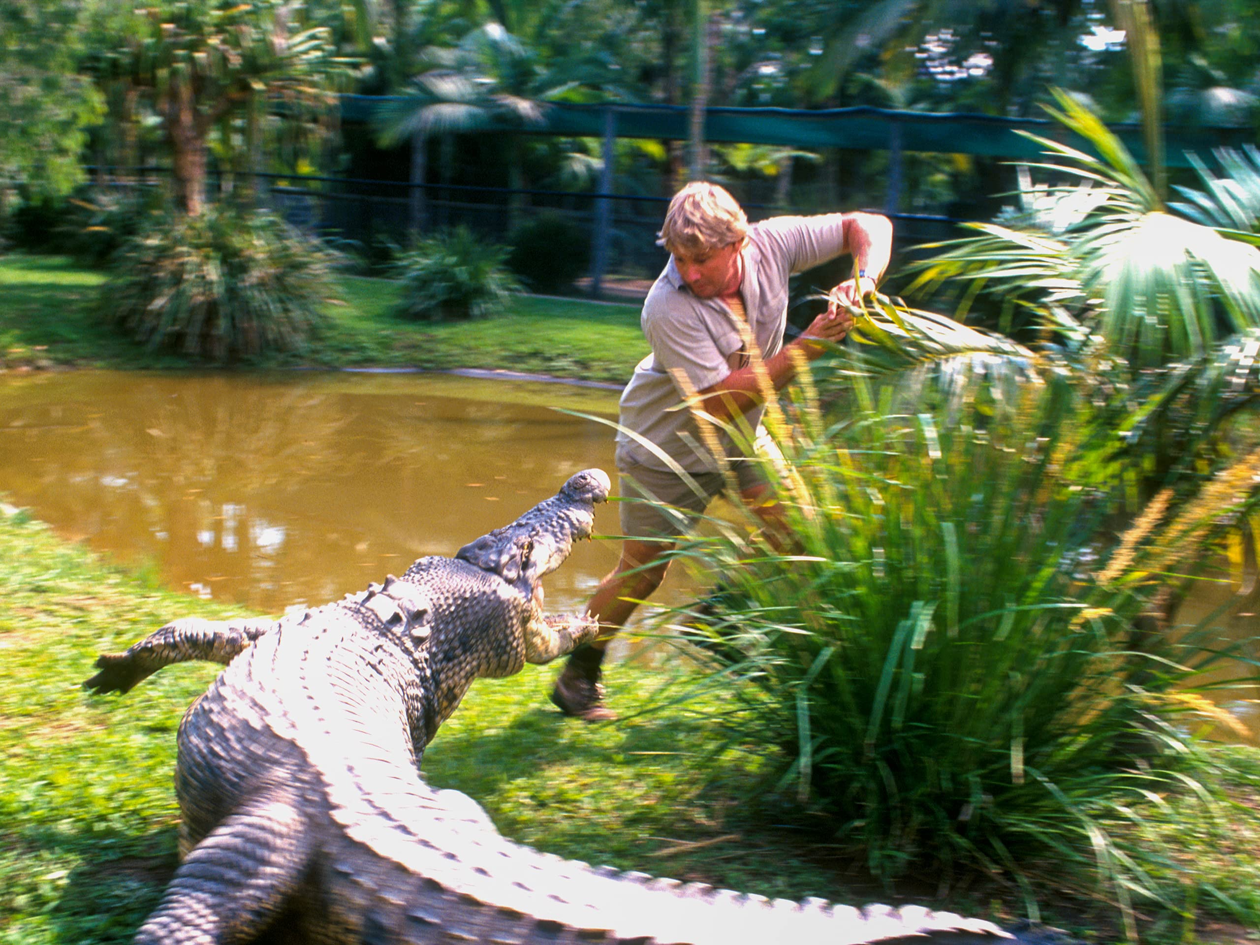 Watch The Crocodile Hunter - Season 5 | Prime Video