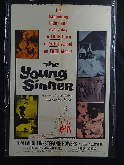 YOUNG SINNER-1965-G/VG-ONE SHEET-DRAMA-TOM LAUGHLIN-STEPHANIE POWERS ...